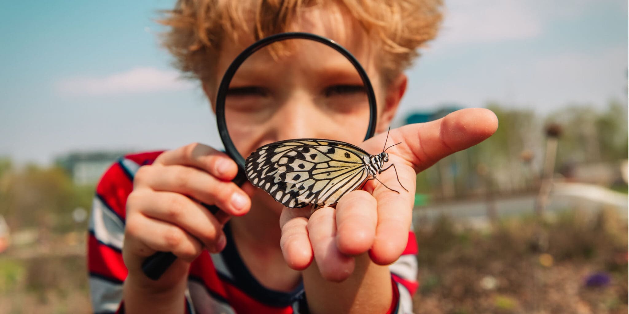 Camp Creative: Nature - Akron Art Museum